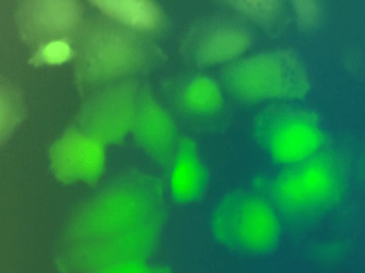 Picture1 – WaterScope (UK)